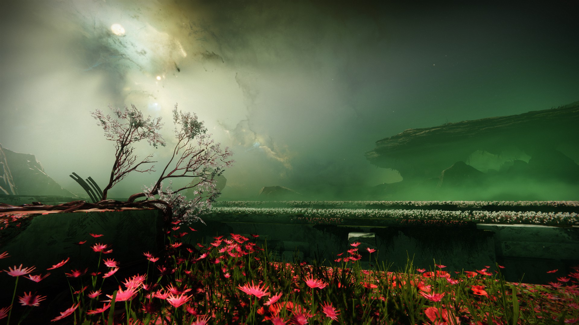 Gallery – Willow "Icarus" Forde